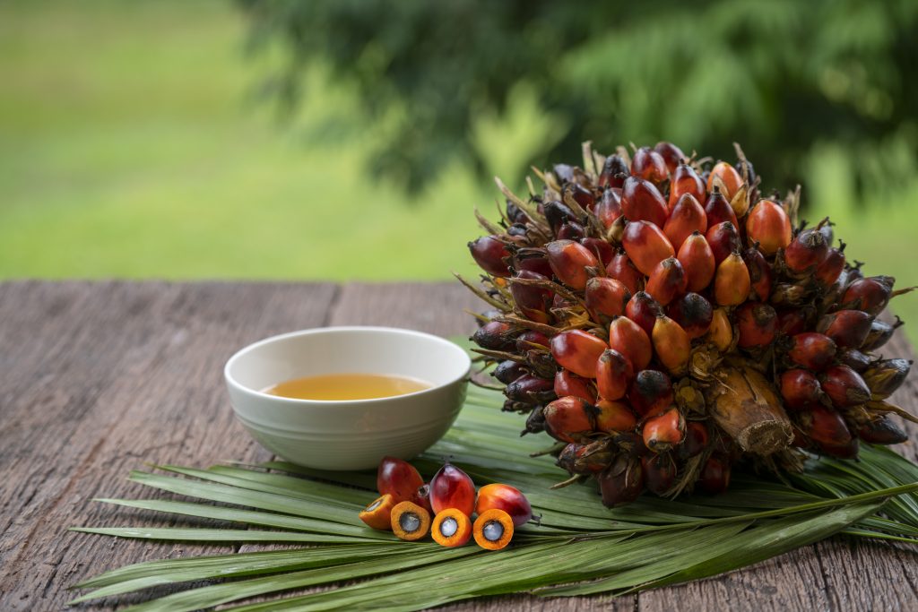 Premium Dolomite | Dolomite in Agriculture